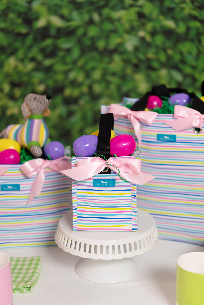 Scout Mini Package Gift Bag - Silly Spring – Carolina Girls